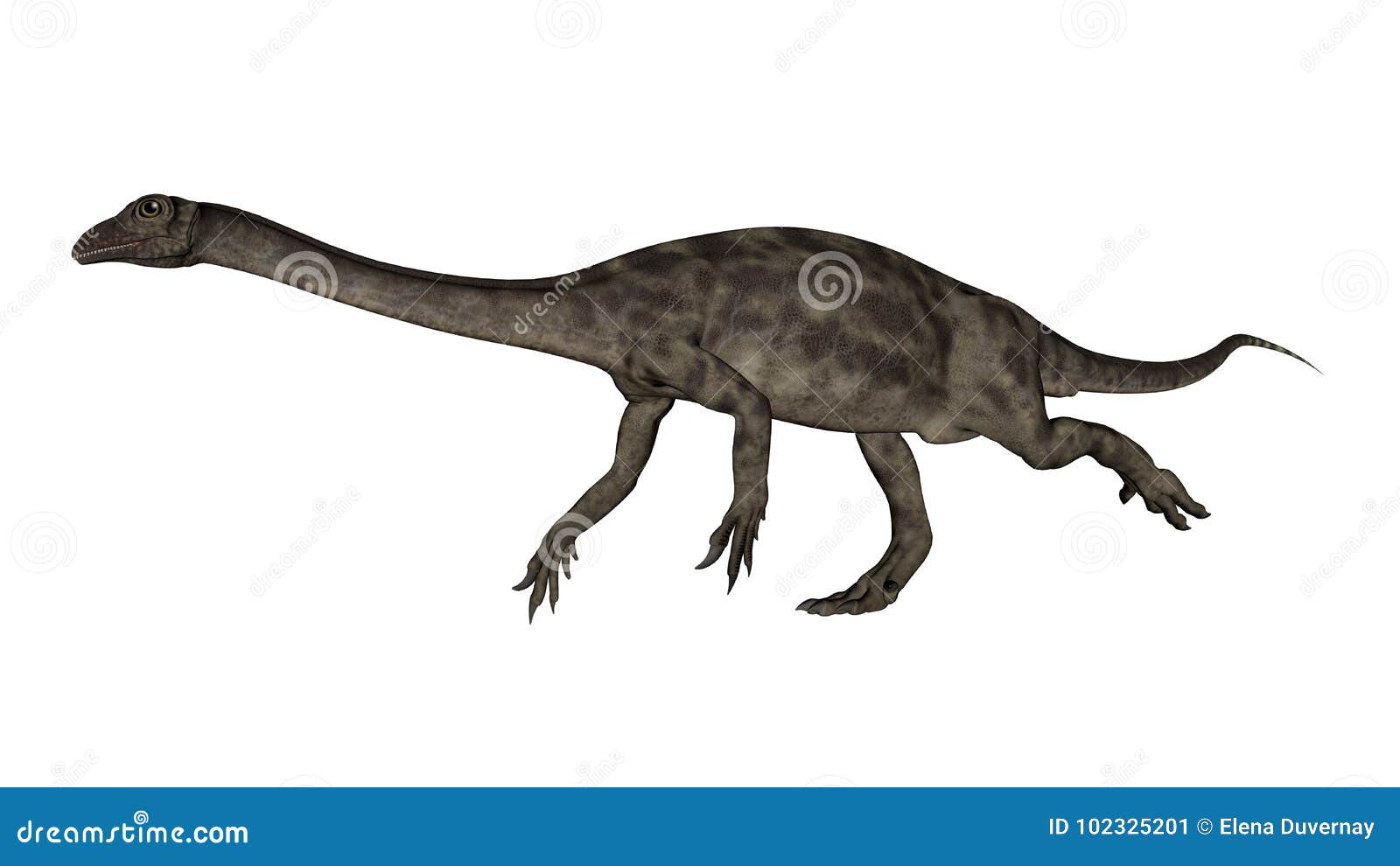 Anchisaurus Dinosaur -3D Render Stock Illustration - Illustration of ...