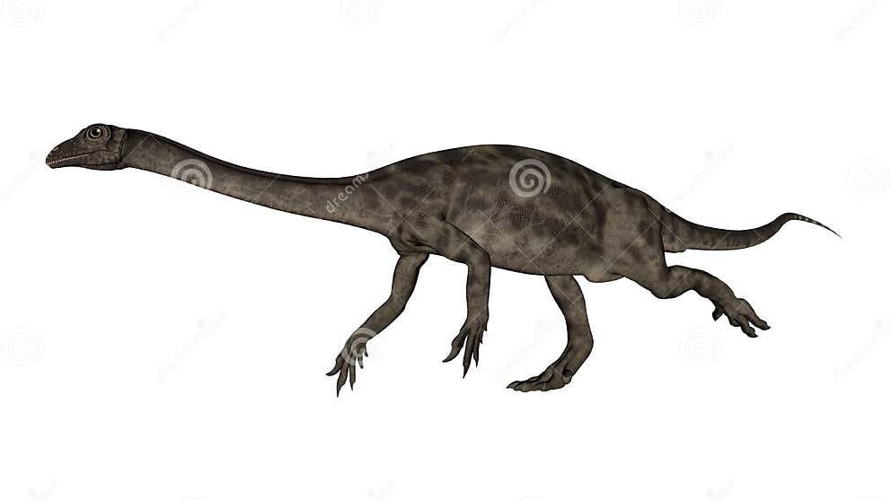 Anchisaurus Dinosaur -3D Render Stock Illustration - Illustration of ...