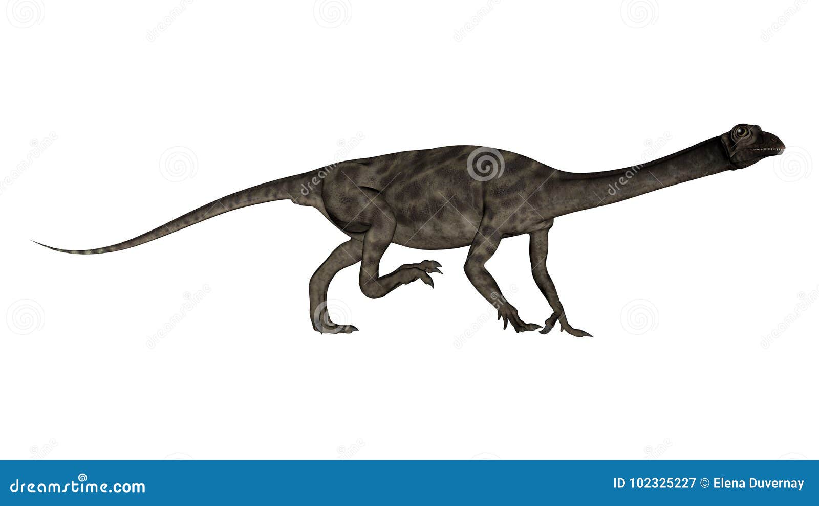 Anchisaurus Dinosaur Side Profile Royalty-Free Stock Photography ...