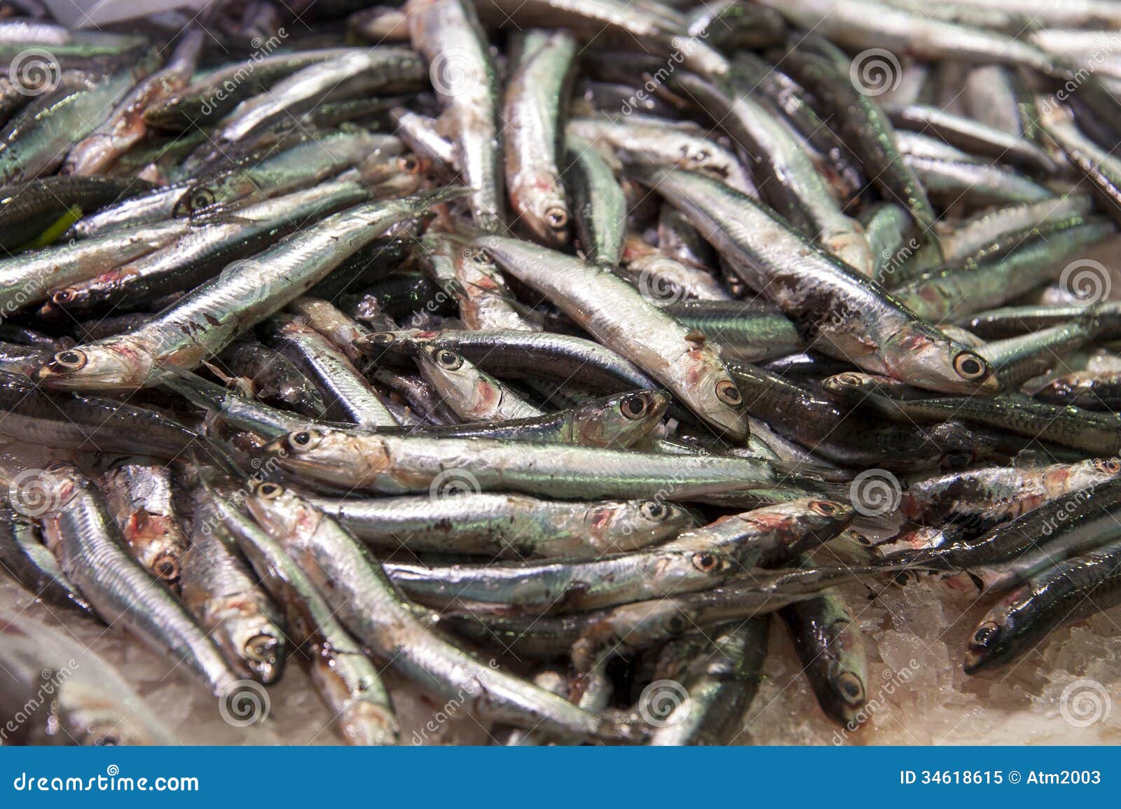Anchois image stock. Image du océan, méditerranéen, nourriture - 34618615