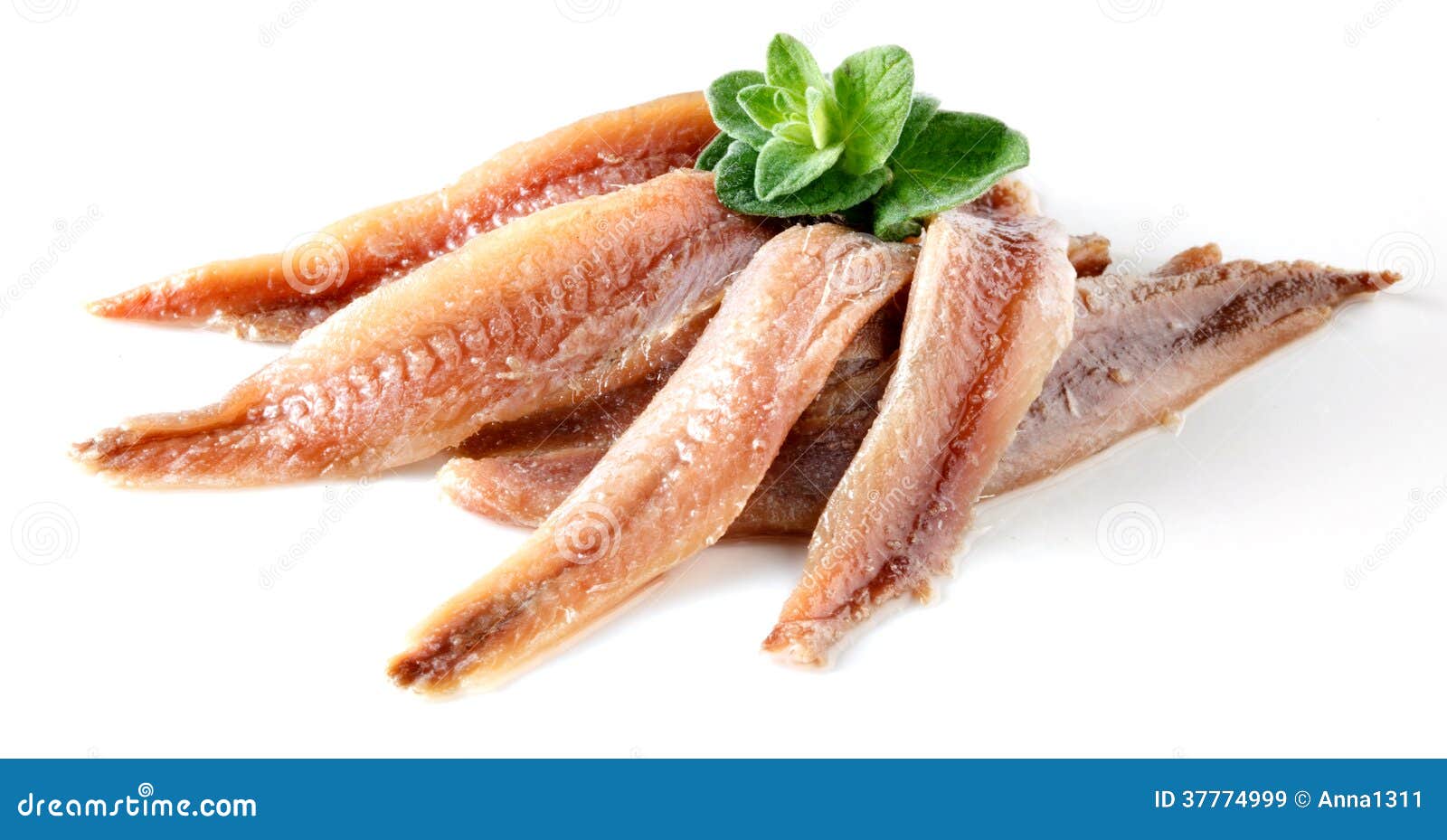 Anchois avec des herbes image stock. Image du mariné - 37774999