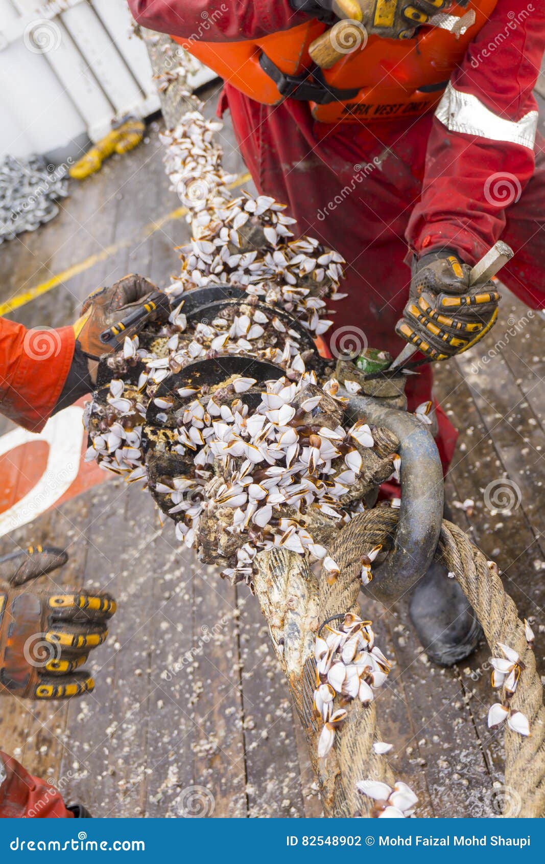 Anchor Handling stock photo. Image of rigging, horizontal - 82548902