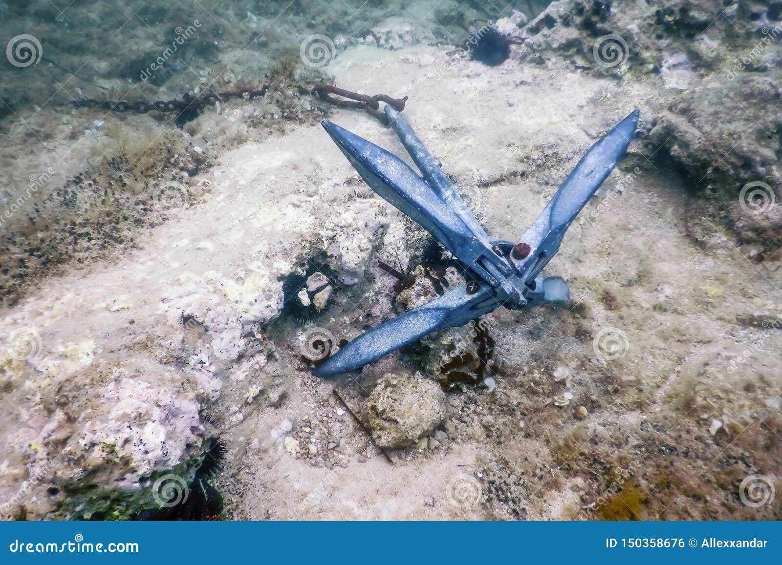 Anchor Lying on the Seabed Underwater Life Stock Photo - Image of view ...
