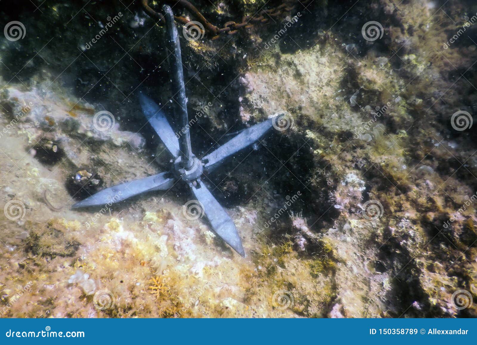 Anchor Lying on the Seabed Underwater Life Stock Image - Image of ...