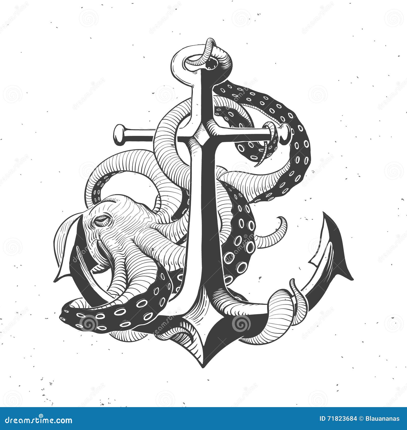 Anchor with Octopus on White Stock Vector - Illustration of vector ...