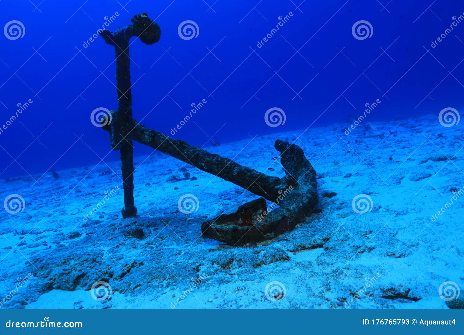 Real Anchor Underwater