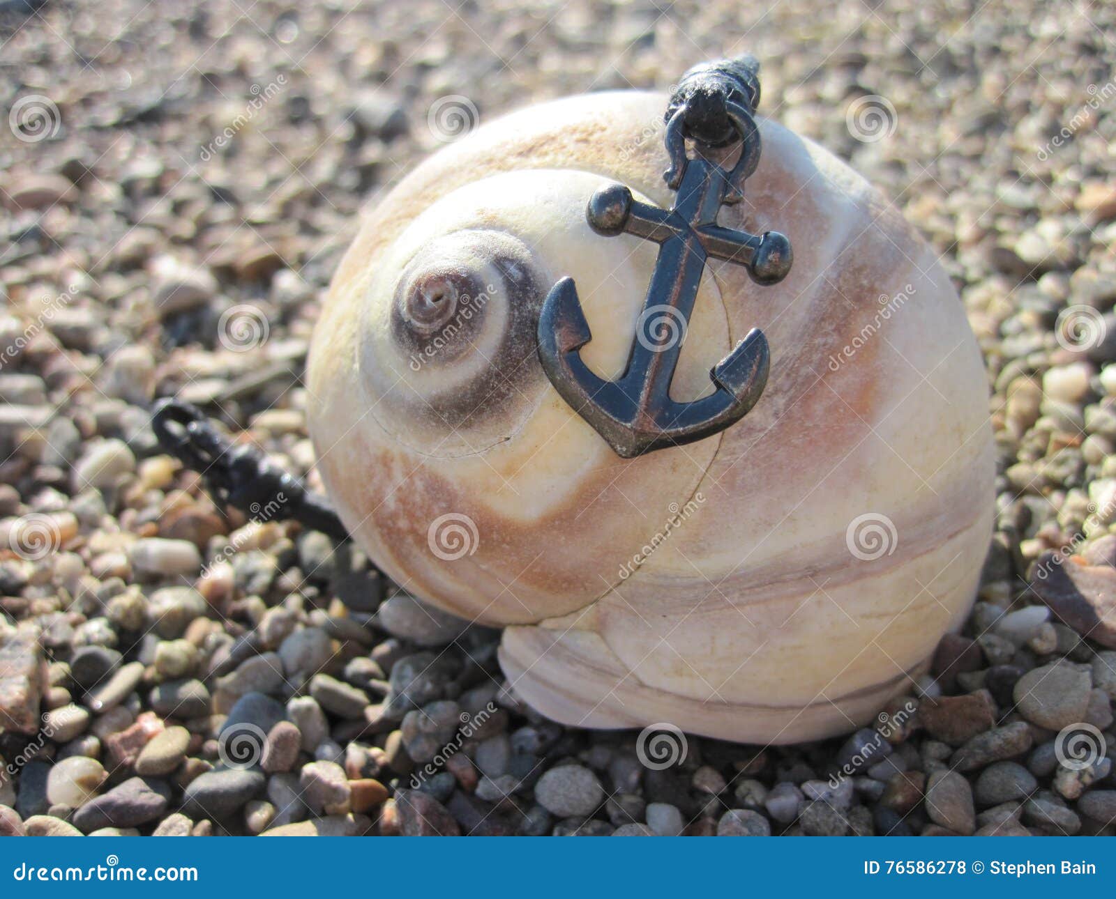 Anchor on Sea Shell stock photo. Image of details, pebbles - 76586278