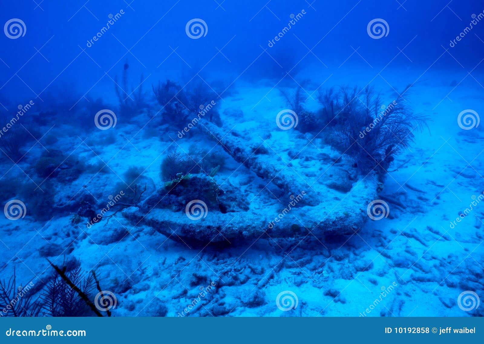 Anchor from shipwreck stock photo. Image of horizontal - 10192858