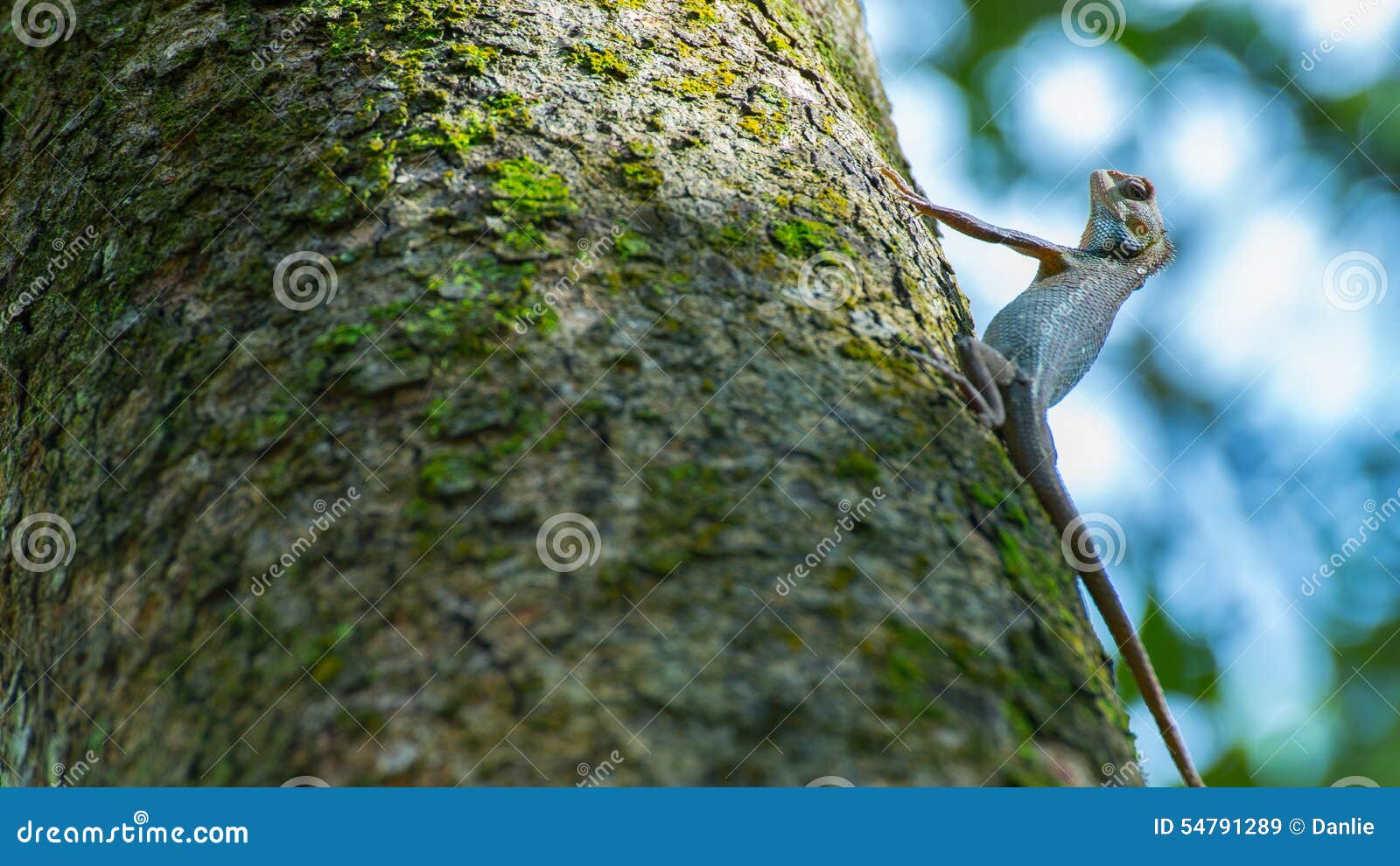 Anchoring with Claw stock image. Image of sunlight, abstract - 54791289