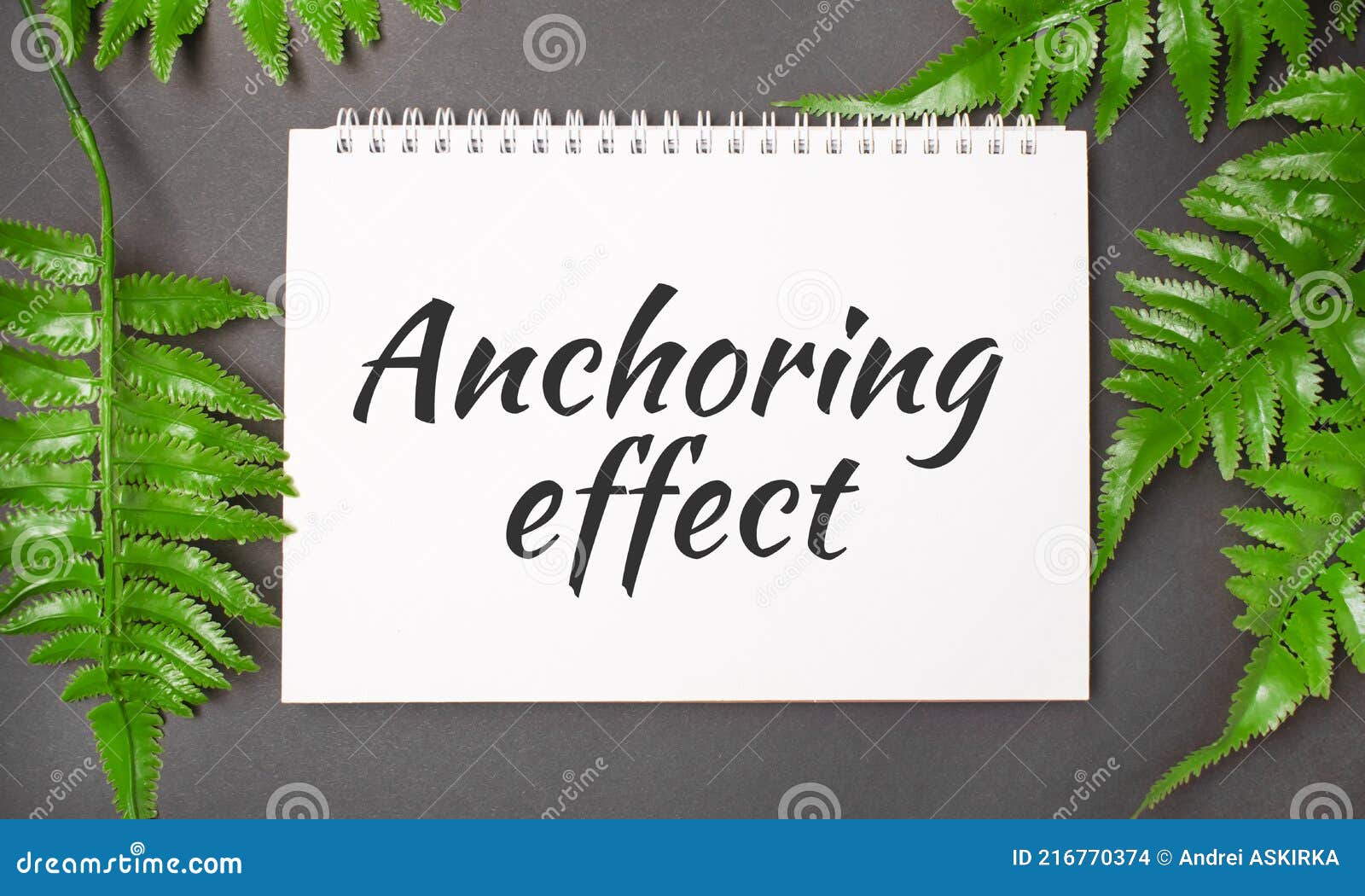 Anchoring Effect Text with Real Leaves Tropical Jungle Background.flat ...