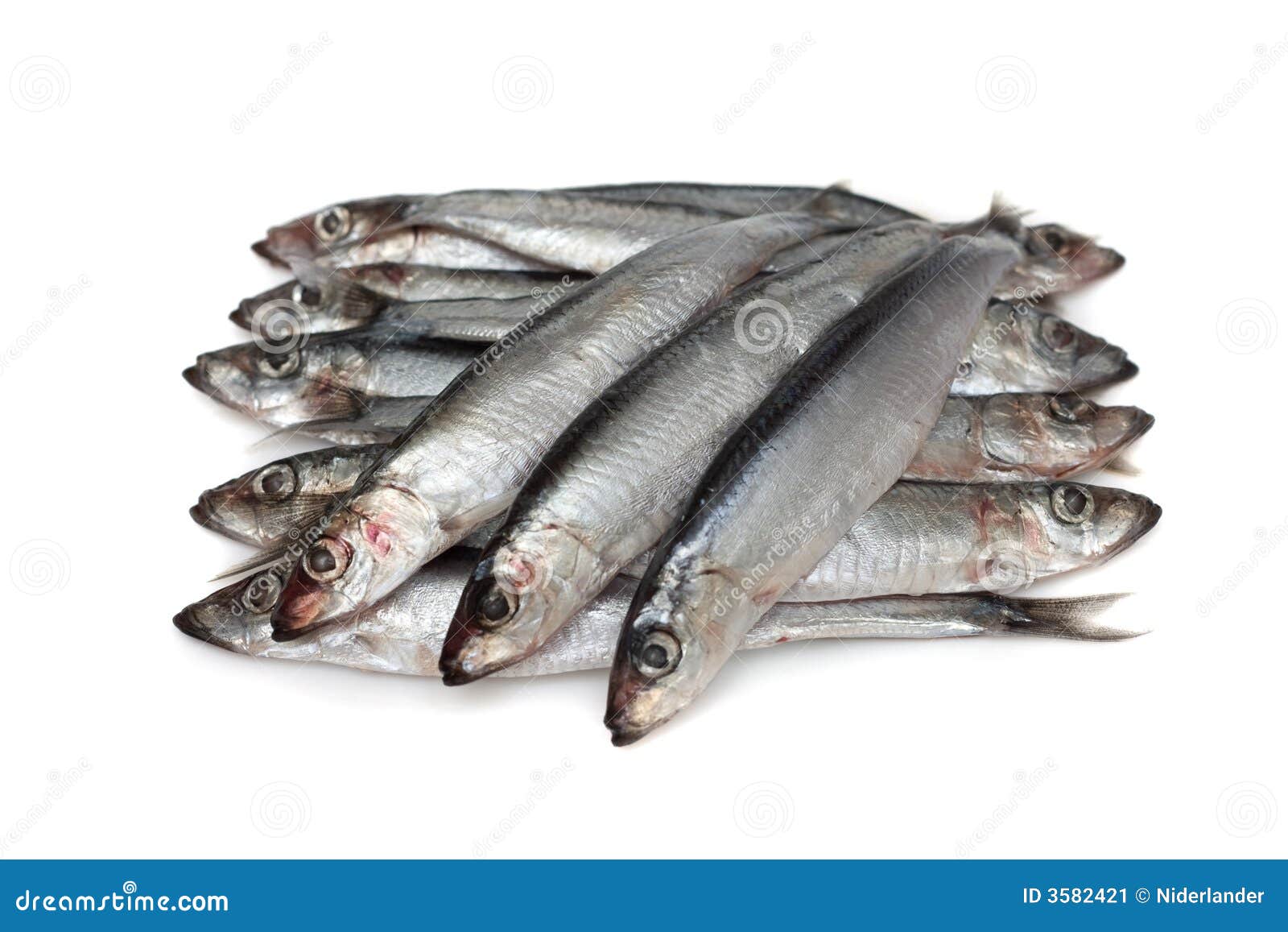 Anchova imagem de stock. Imagem de peixes, fundo, comer - 3582421