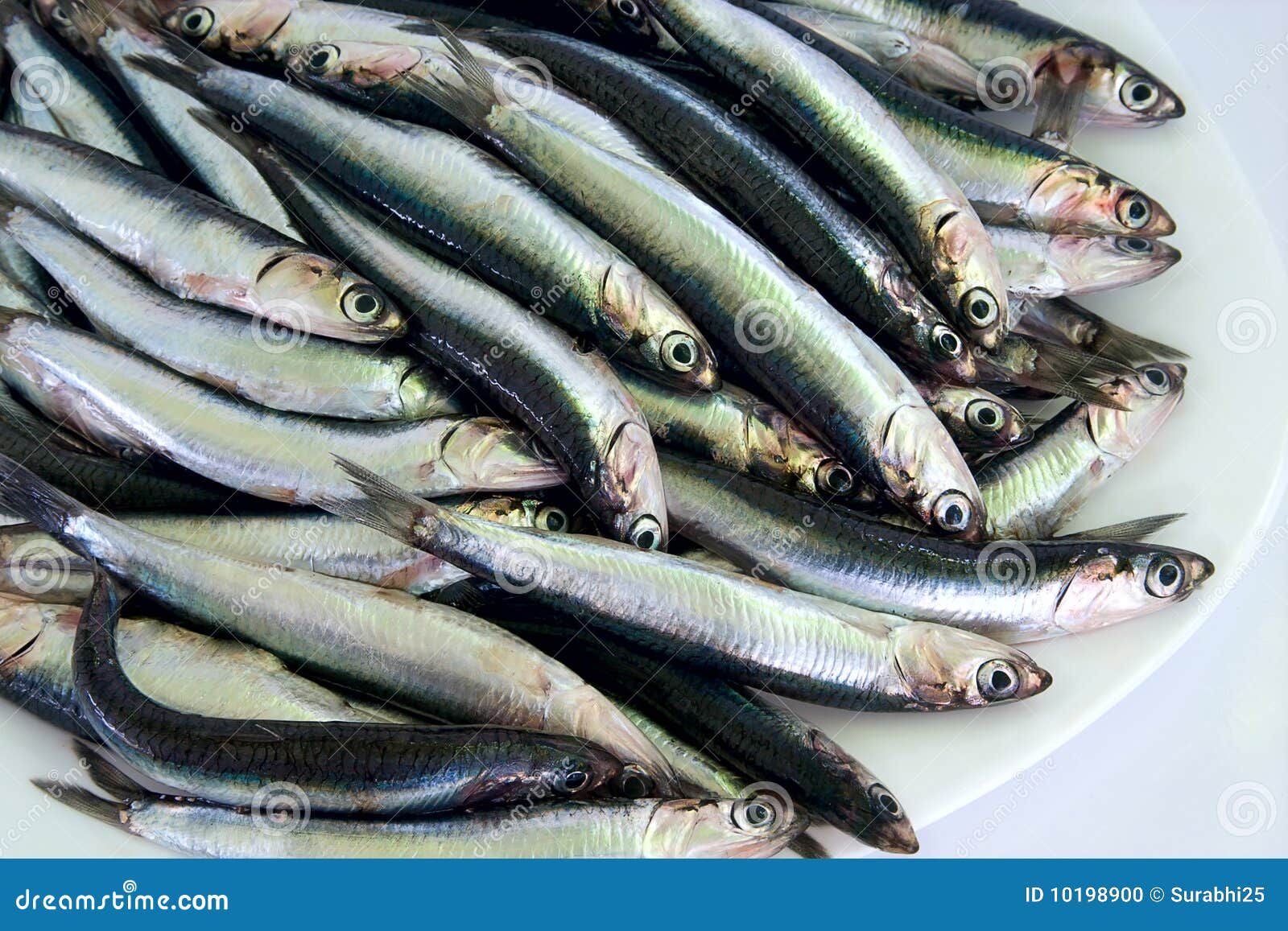 Anchovies stock photo. Image of heap, seafood, market - 10198900