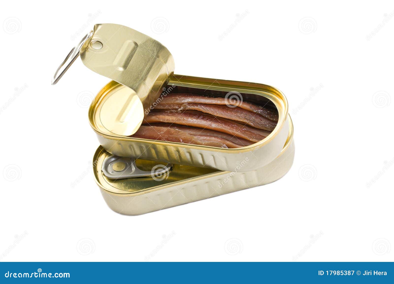 Anchovies Fillets in Tin Can Stock Image - Image of fillet, cooked ...