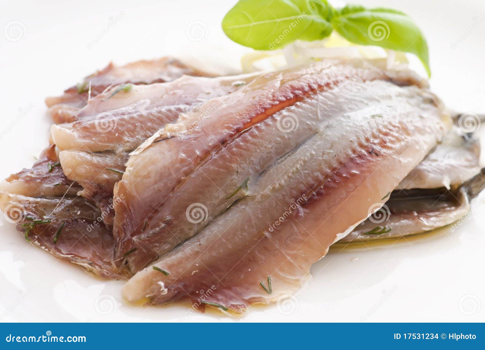 Anchovy stock photo. Image of dead, marinated, food, herring - 17531234