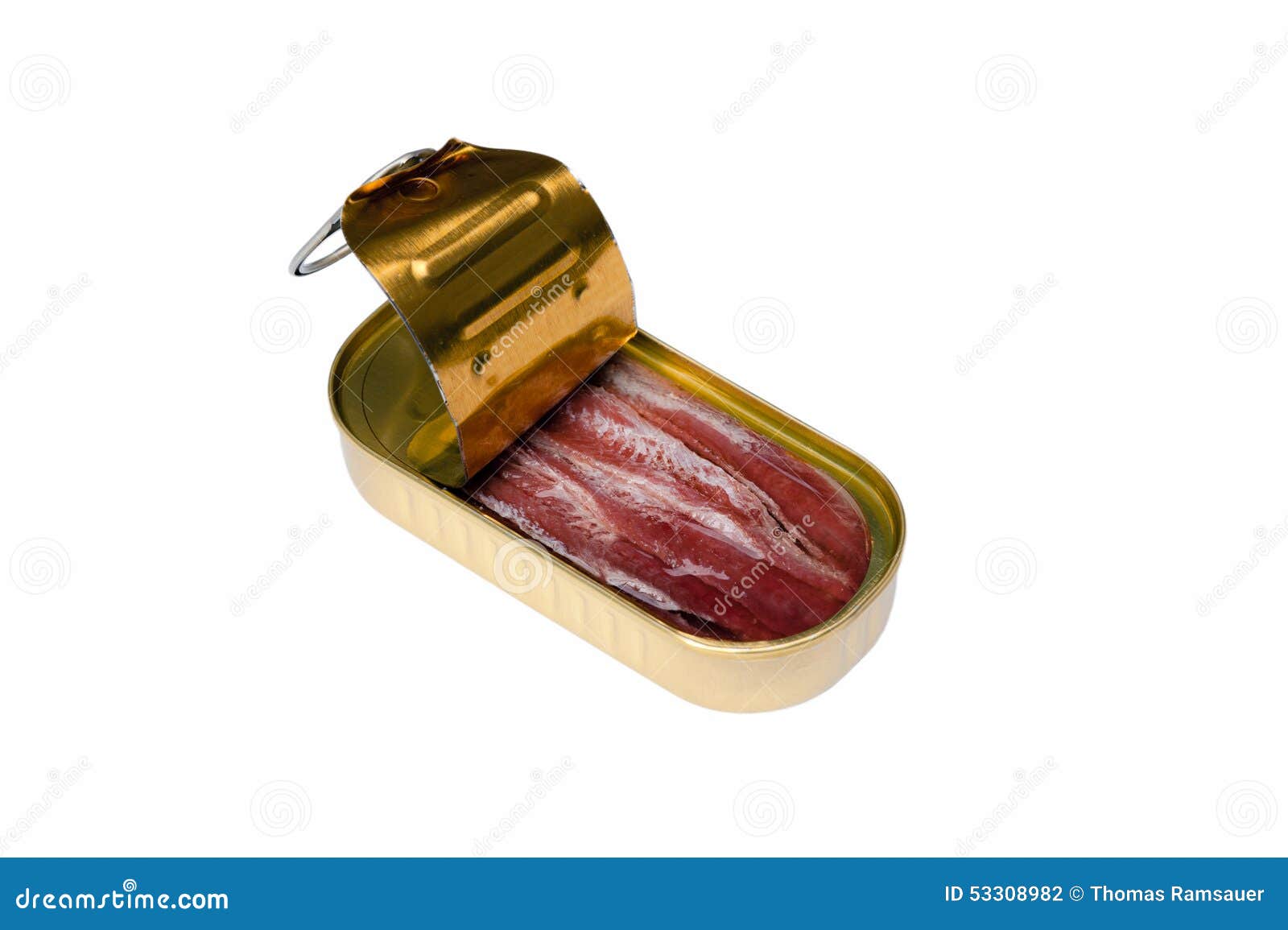 Anchovy Fillets Isolated in an Opened Tin Can Stock Photo - Image of ...