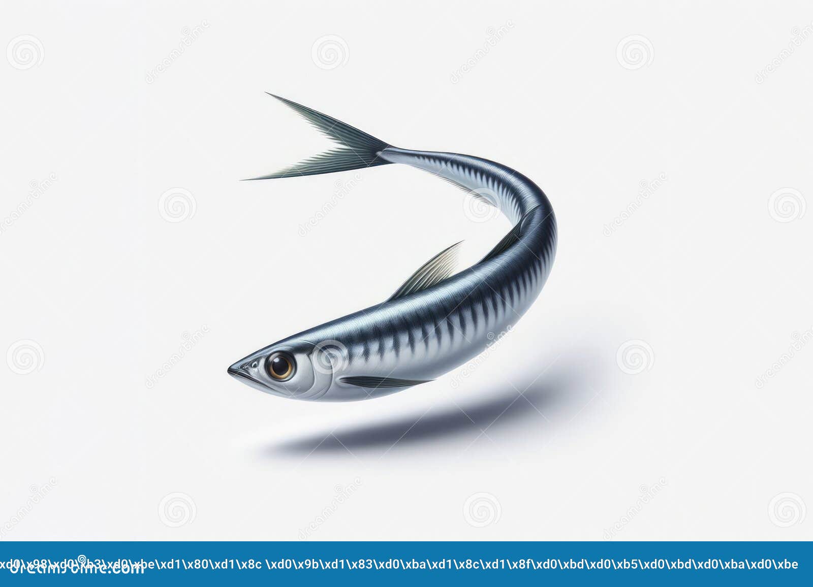 Anchovy Fish Isolated on Solid White Background. Ai Generative Stock ...