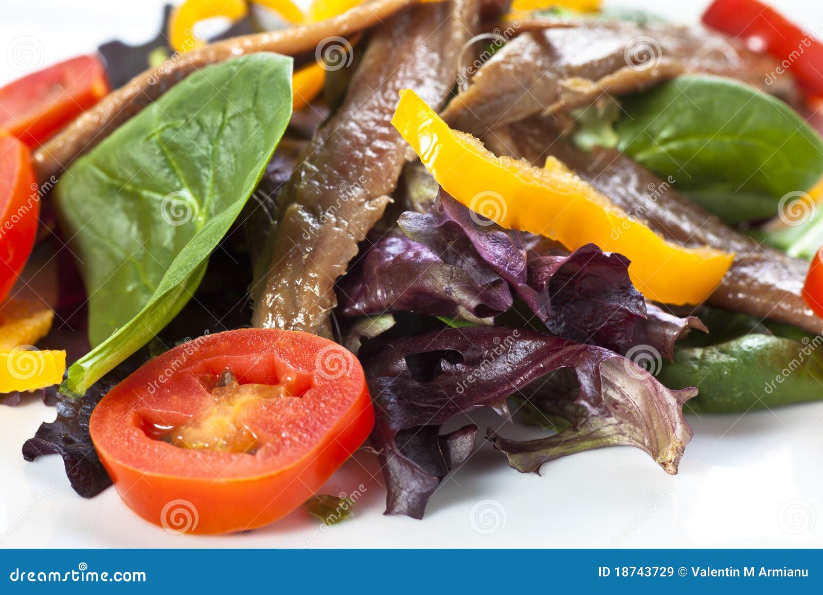 Anchovy salad stock image. Image of salad, ingredient - 18743729