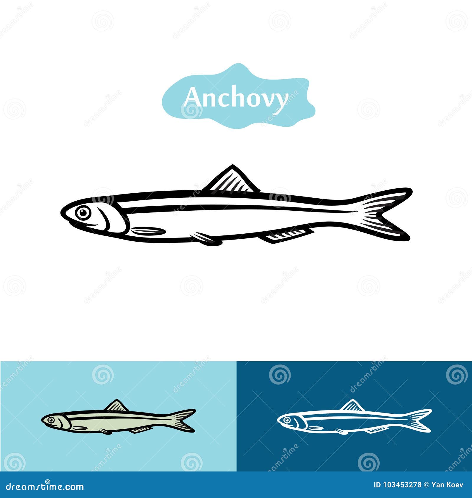 Anchovy Vector Illustration. Anchovy Fish On White Background. Anchovy ...