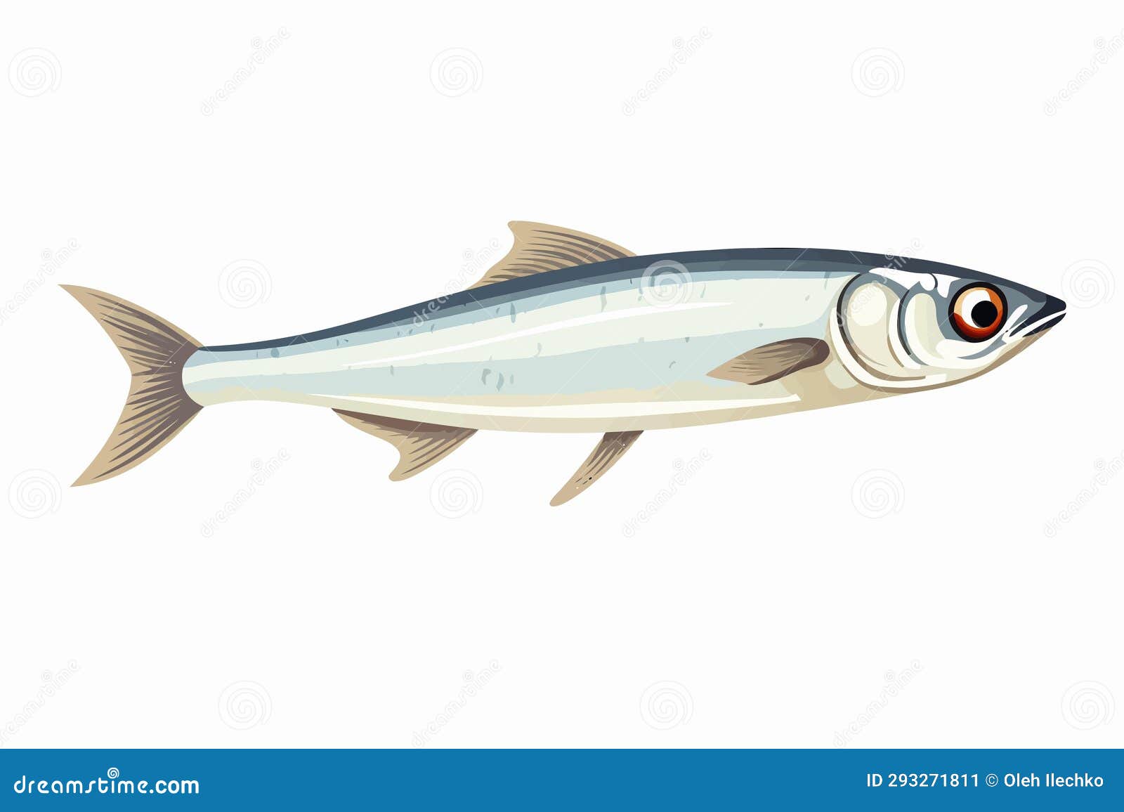 Anchovy Vector Flat Minimalistic Isolated Illustration Stock Vector ...