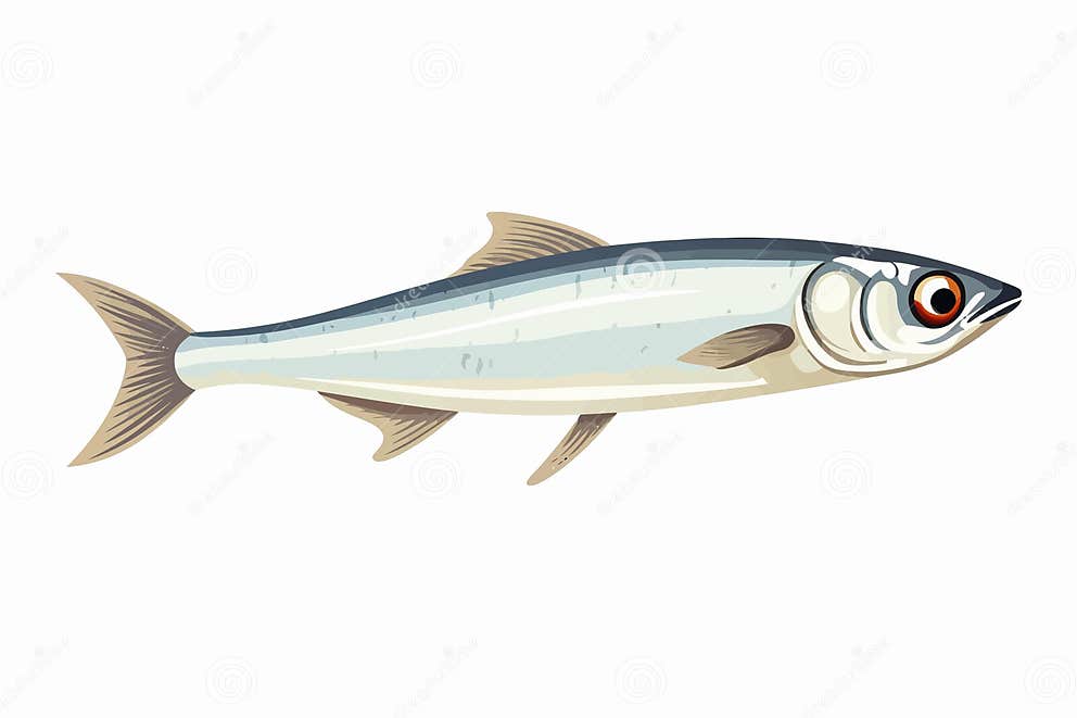 Anchovy Vector Flat Minimalistic Isolated Illustration Stock Vector ...