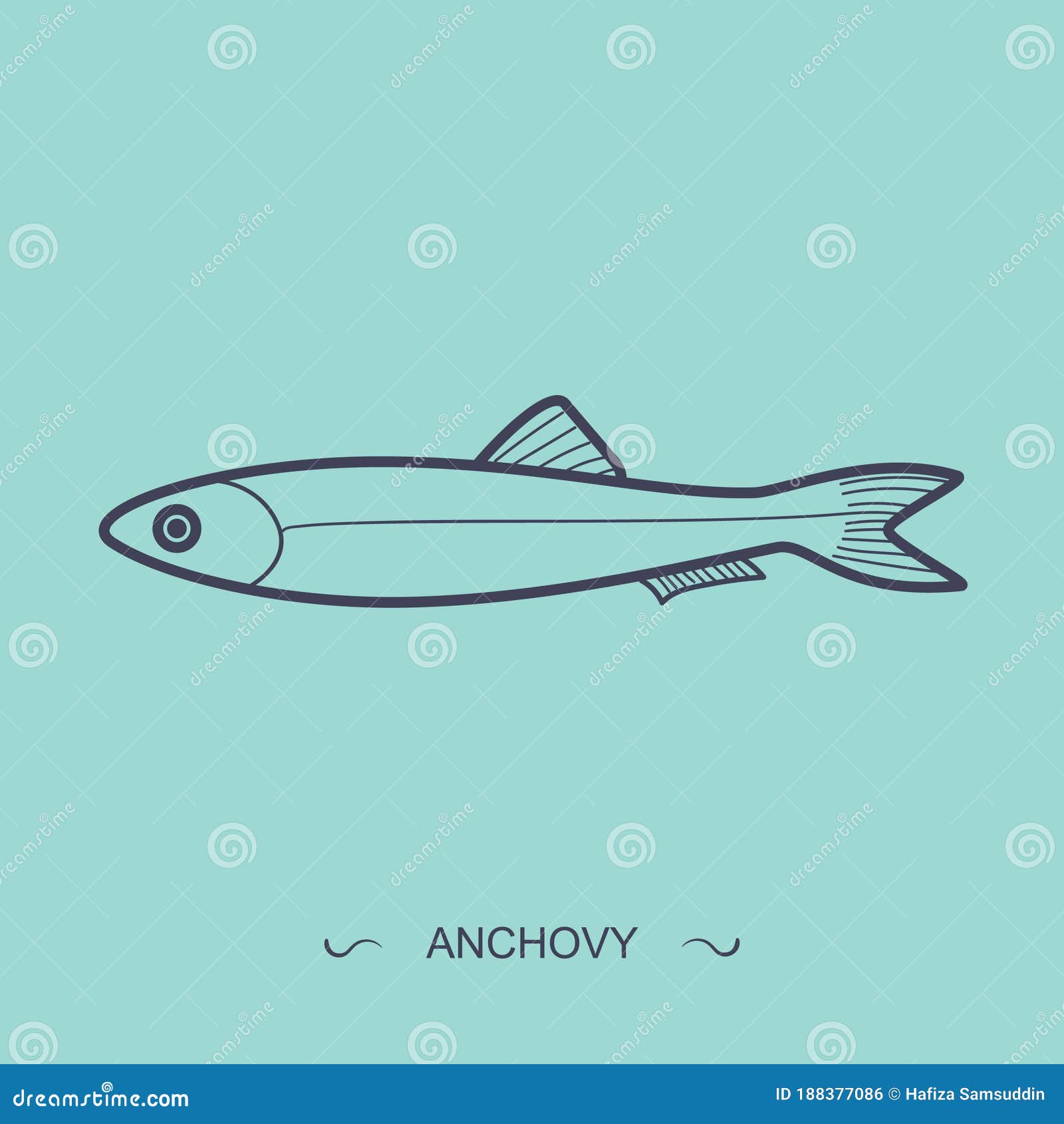 Anchovy Vector Illustration. Anchovy Fish On White Background. Anchovy ...