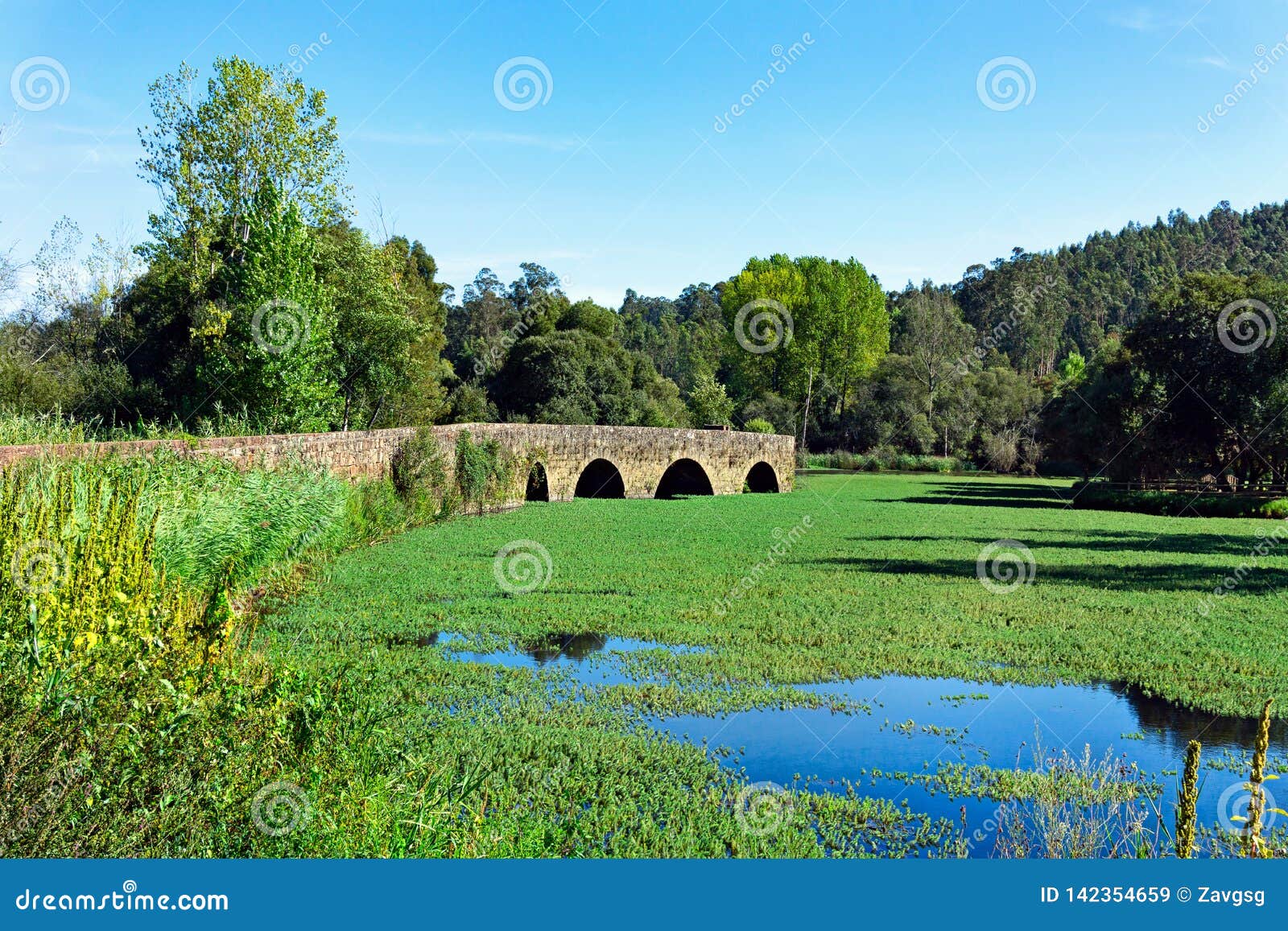 Ancient Abandoned Roman Bridge Over an Overgrown Pond Stock Image ...