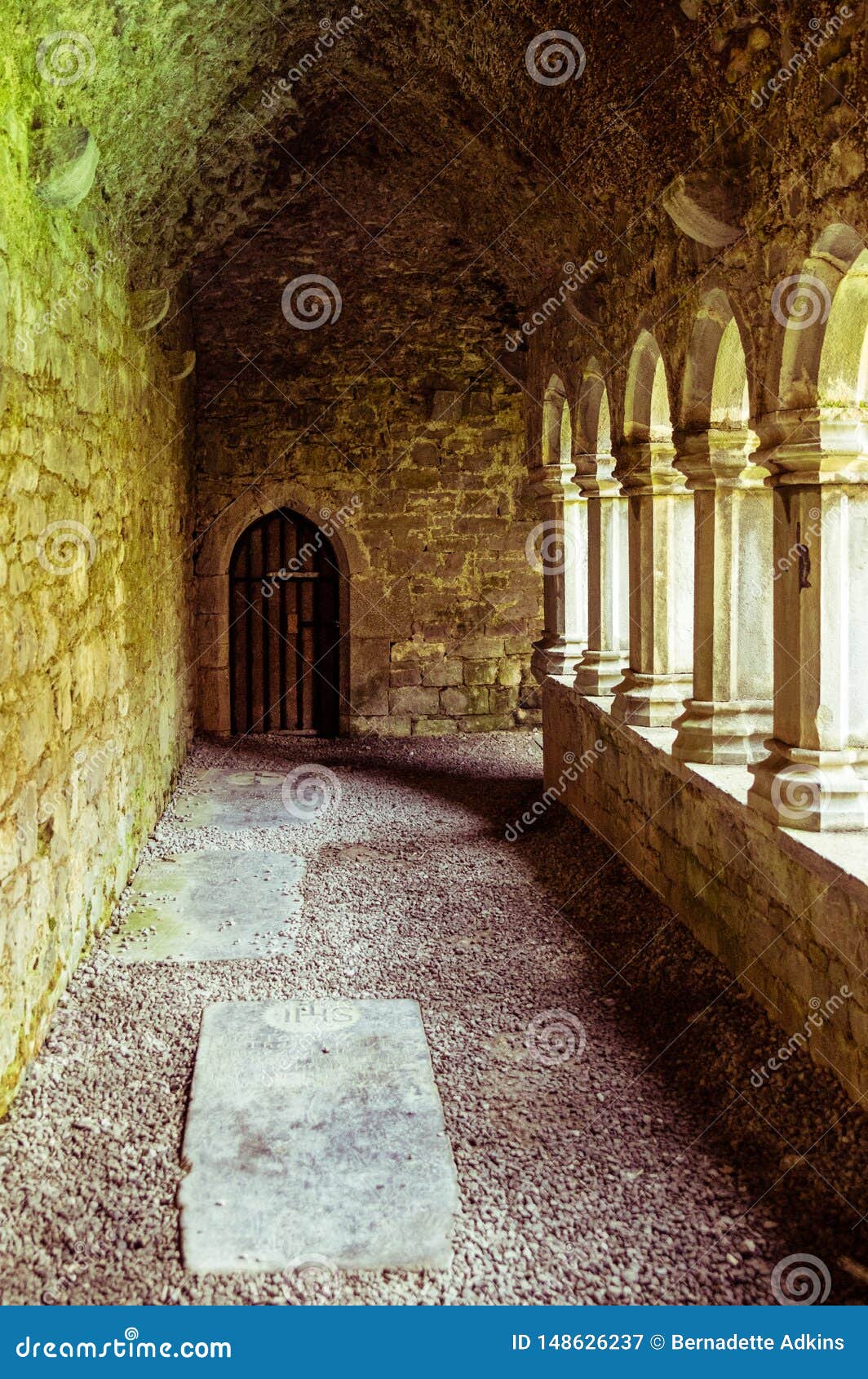 Ancient Abby Vaulted Walkway with Pillars Open To Courtyard Stock Image ...