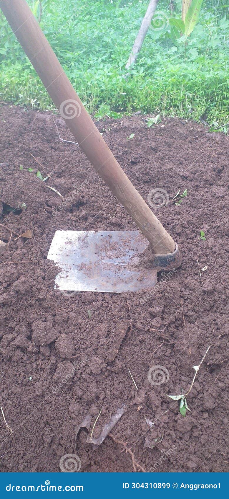 An Ancient Agricultural Tool in the Form of a Hoe Stock Image - Image ...