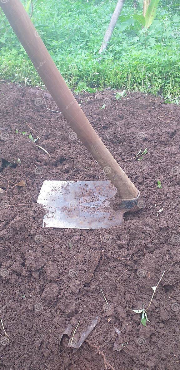 An Ancient Agricultural Tool in the Form of a Hoe Stock Image - Image ...
