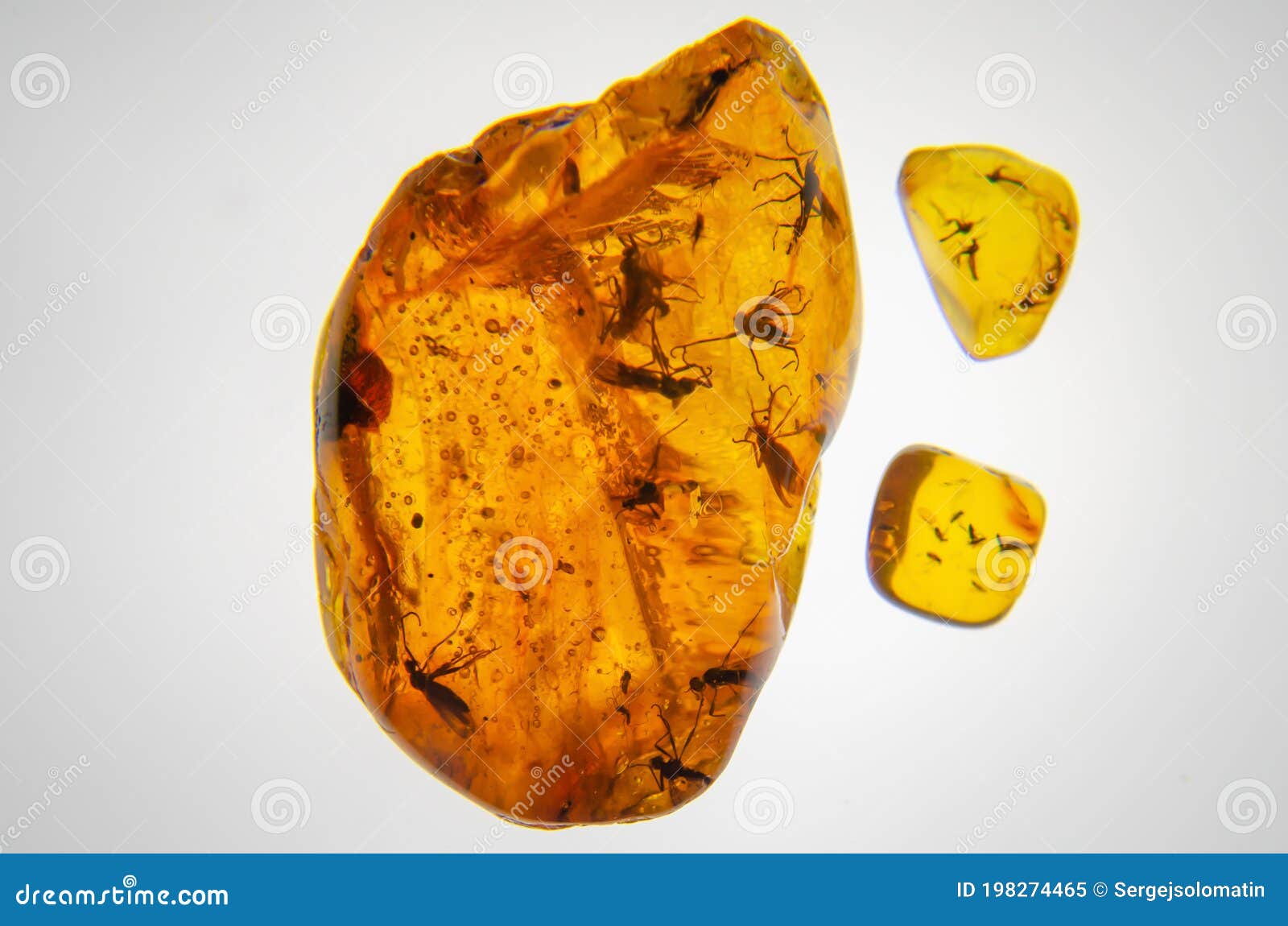 Ancient Amber with Insects Inside Stock Image - Image of baltic ...
