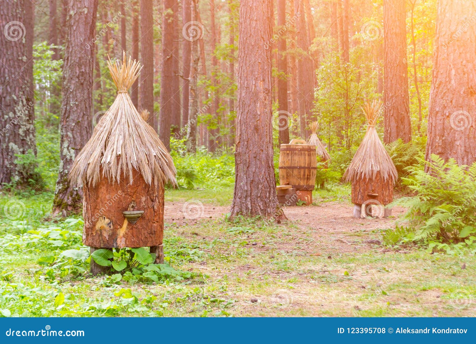 An Ancient Apiary with Artificial Hives Made of Straw and Tree B Stock ...