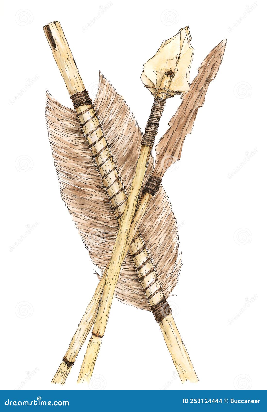 Ancient Arrows Stock Photography | CartoonDealer.com #253124444