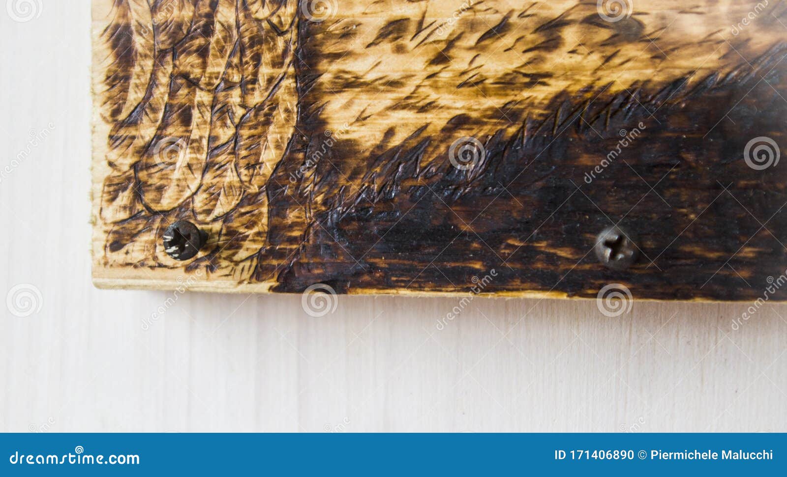 The Ancient Art of Pyrography, Wood and Fire, the Eagle`s Eye, Hang ...