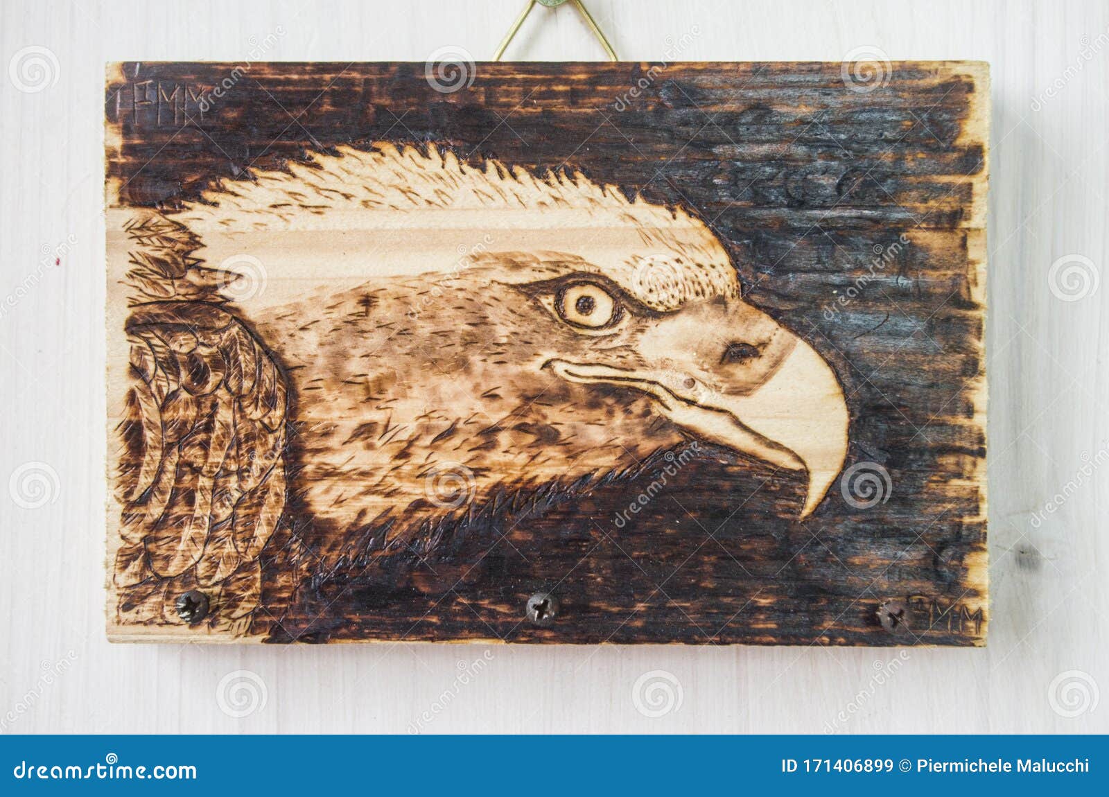 The Ancient Art of Pyrography, Wood and Fire, the Eagle`s Eye, Hang ...