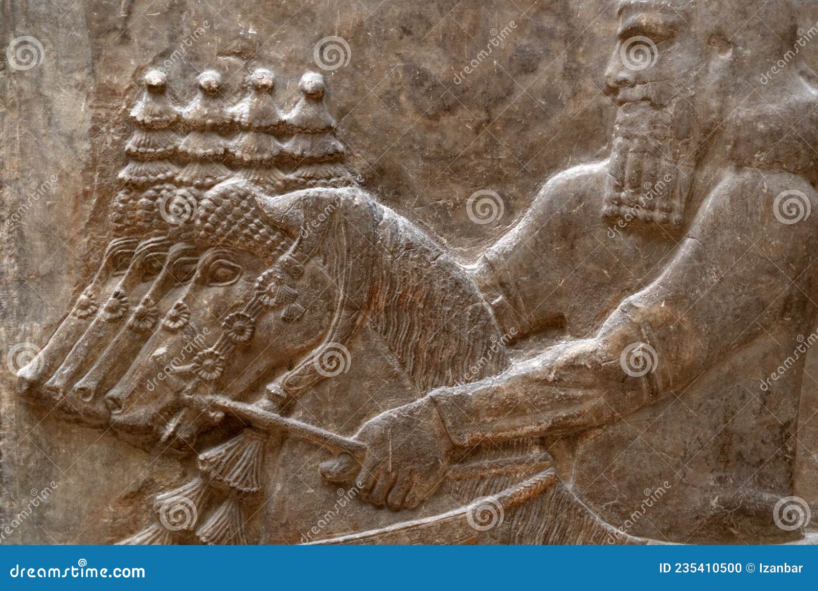 Ancient Babylonia And Assyria Sculpture Bas Relief Bull Mesopotamia ...