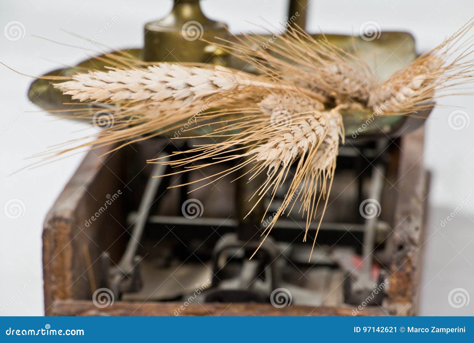 Ancient Balance Scales Royalty-Free Stock Image | CartoonDealer.com ...