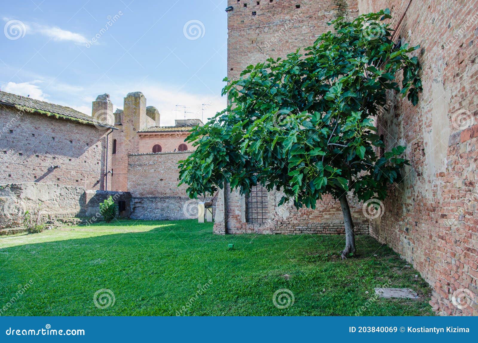The Ancient Beautiful Castle with Tree in the Garden Stock Image ...