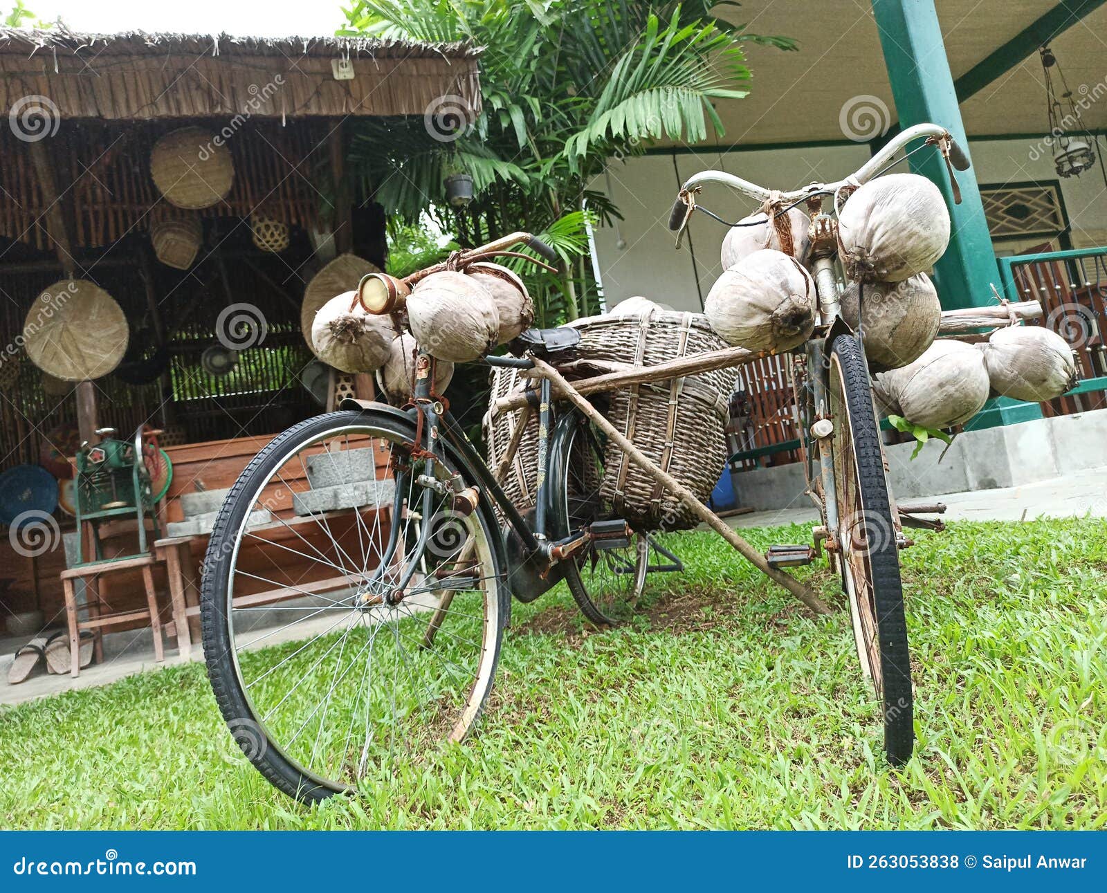 An Ancient Bicycle Carrying Coconuts Parked in a Park Stock Photo ...