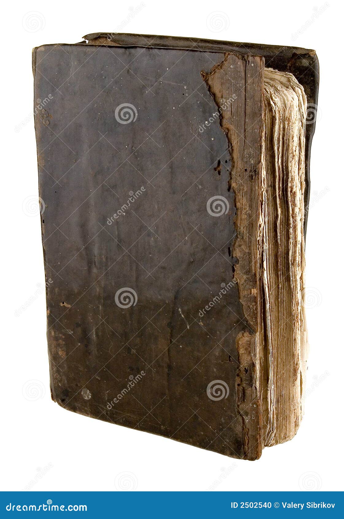 The ancient book stock photo. Image of mark, blank, medieval - 2502540