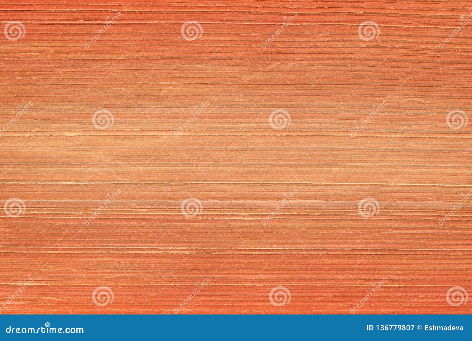 Ancient Book Pages Texture and Background Stock Image - Image of ...