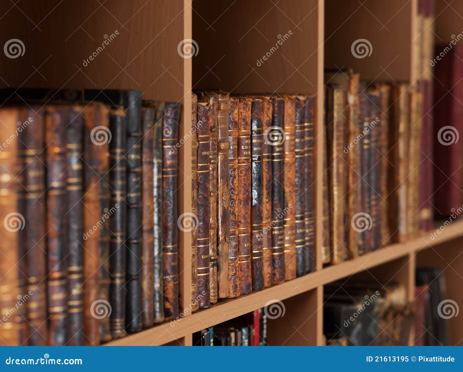 Ancient Books on a a Book Shelves Stock Image - Image of close, closeup ...