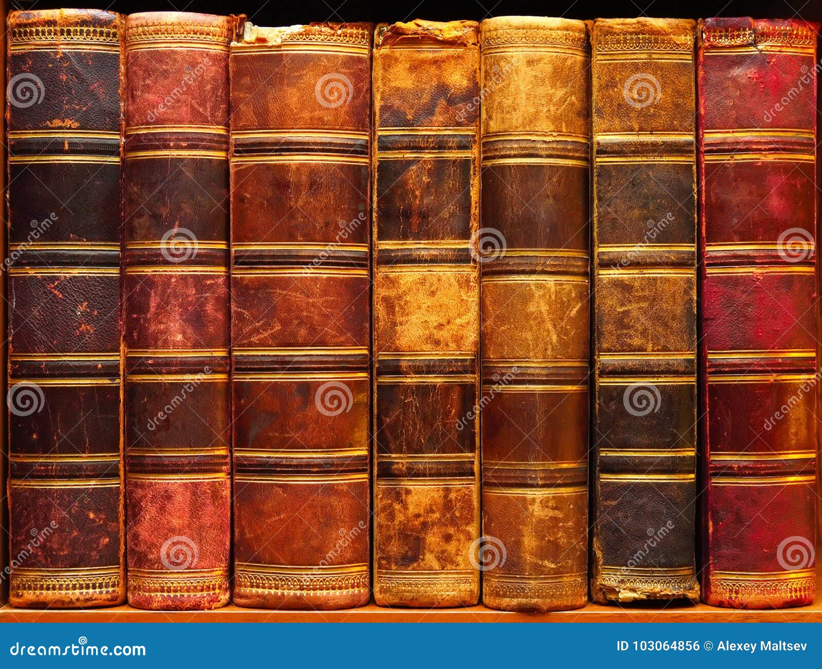 Ancient Books on Shelf in the Library 1 Stock Photo - Image of room ...
