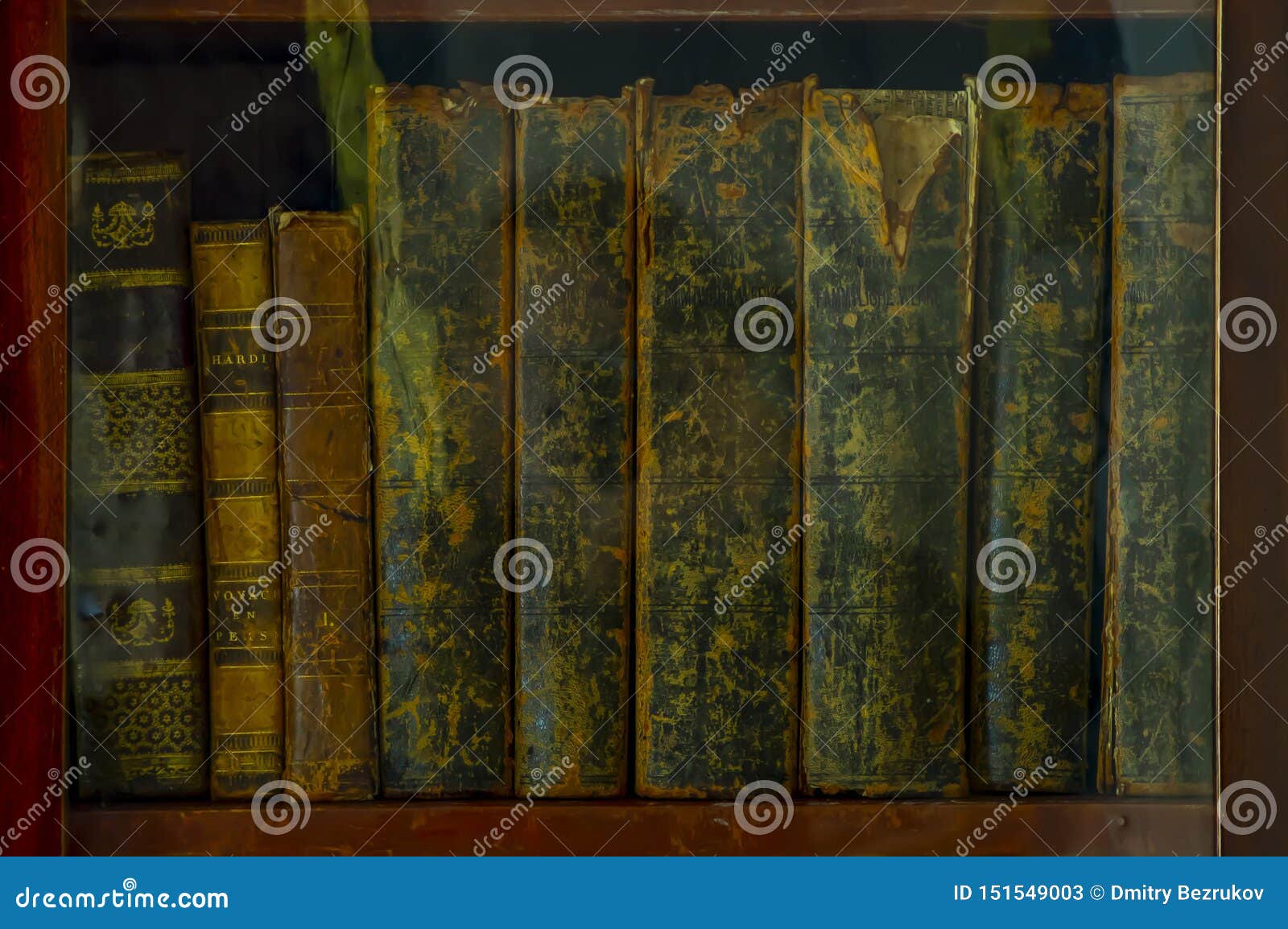 Ancient Books on Shelf in the Library Stock Image - Image of bookshelf ...