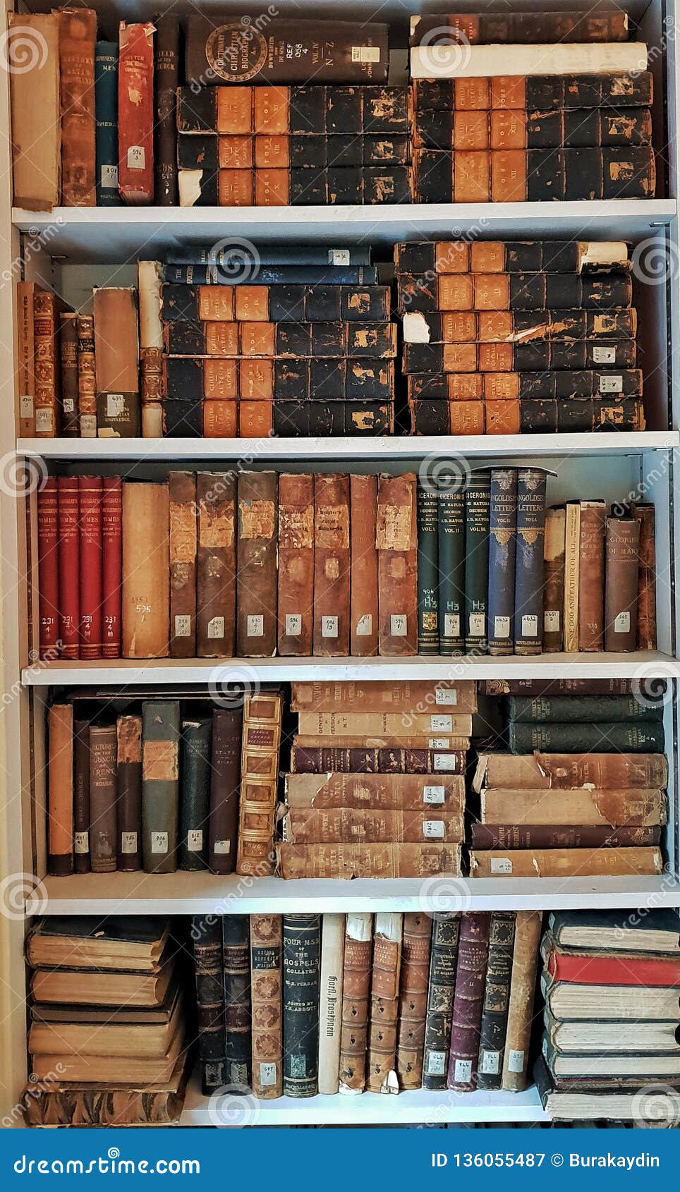 Old Ancient Books on Library Shelves Editorial Photography - Image of ...