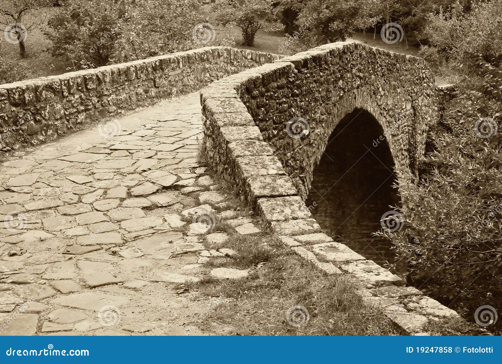 Ancient bridge stock photo. Image of exterior, park, isolated - 19247858