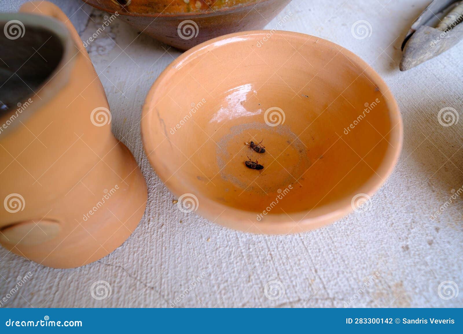 An Ancient Brown Clay Bowl. Two Insects in a Bowl Stock Photo - Image ...