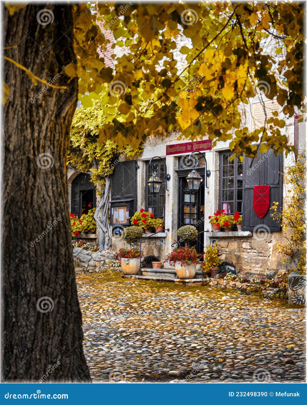 Ancient Buildings in the Medieval Village Perouges, France Editorial ...