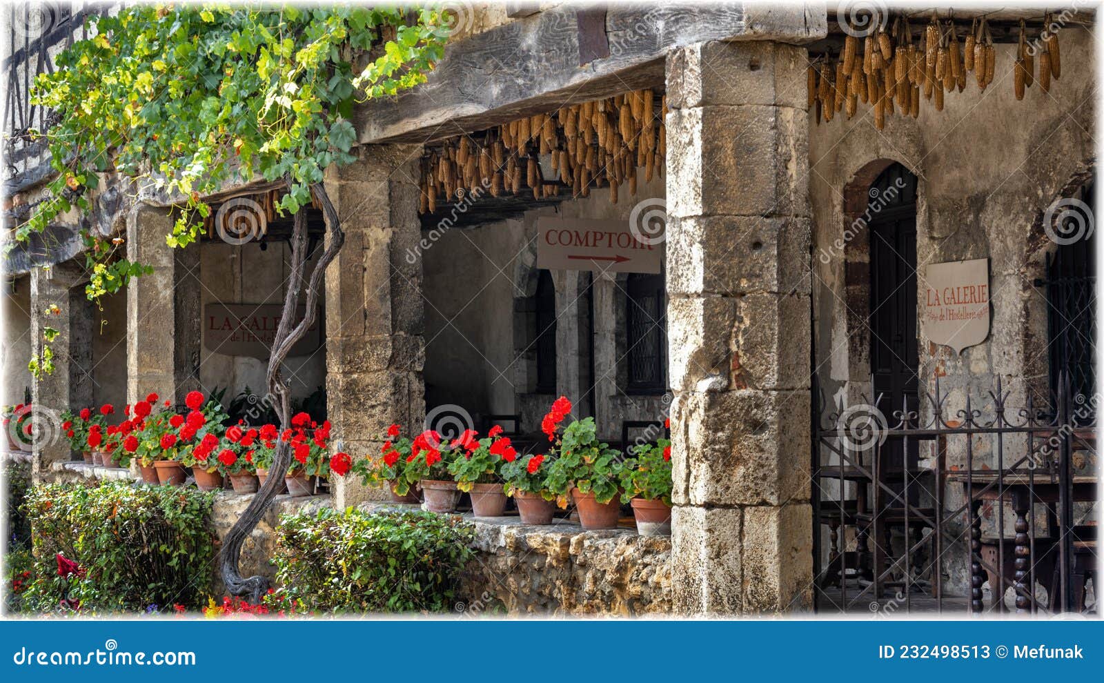 Ancient Buildings in the Medieval Village Perouges, France Editorial ...