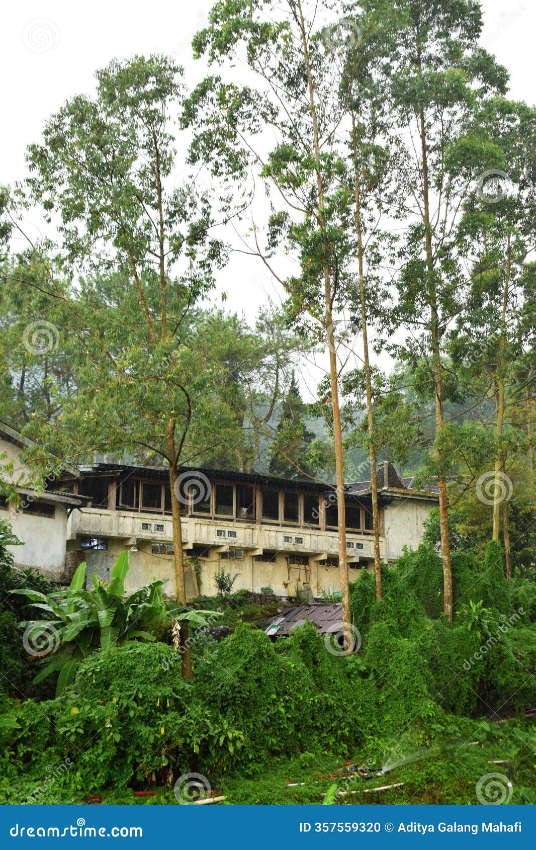 Ancient Building Surrounded by Lush Forest and a Serene River Stock ...