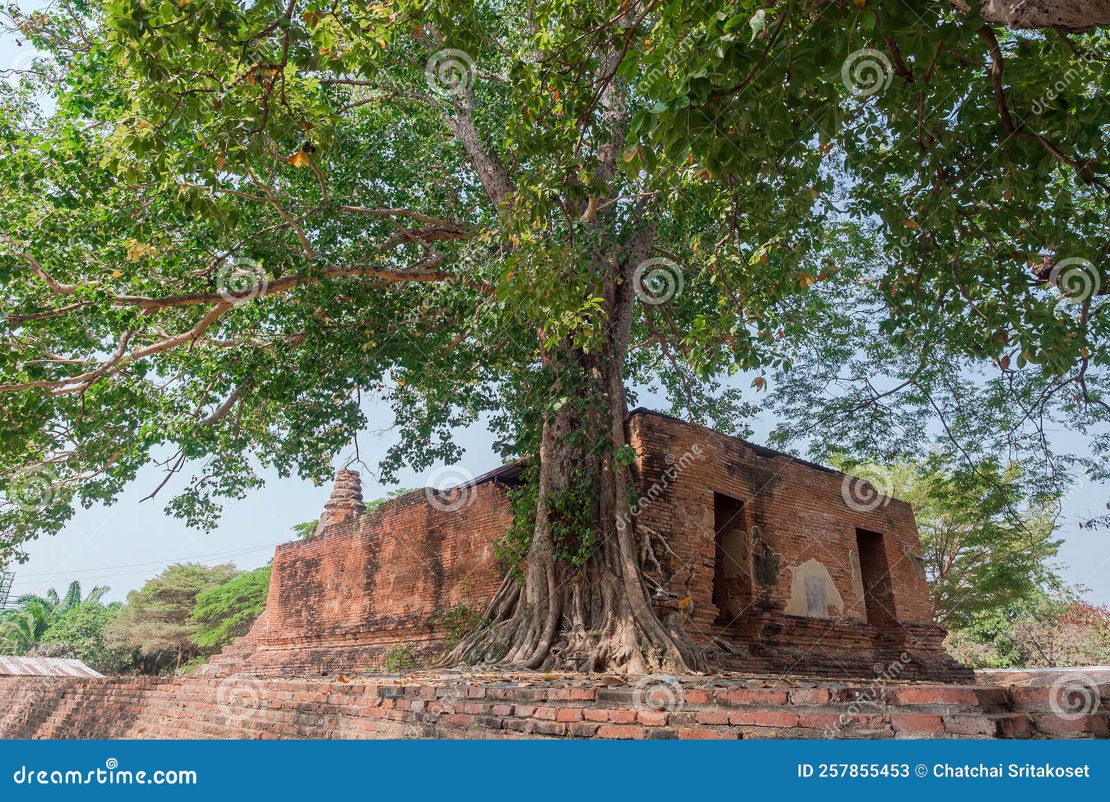 The Ancient Building Was Under a Large Tree Stock Image - Image of ...